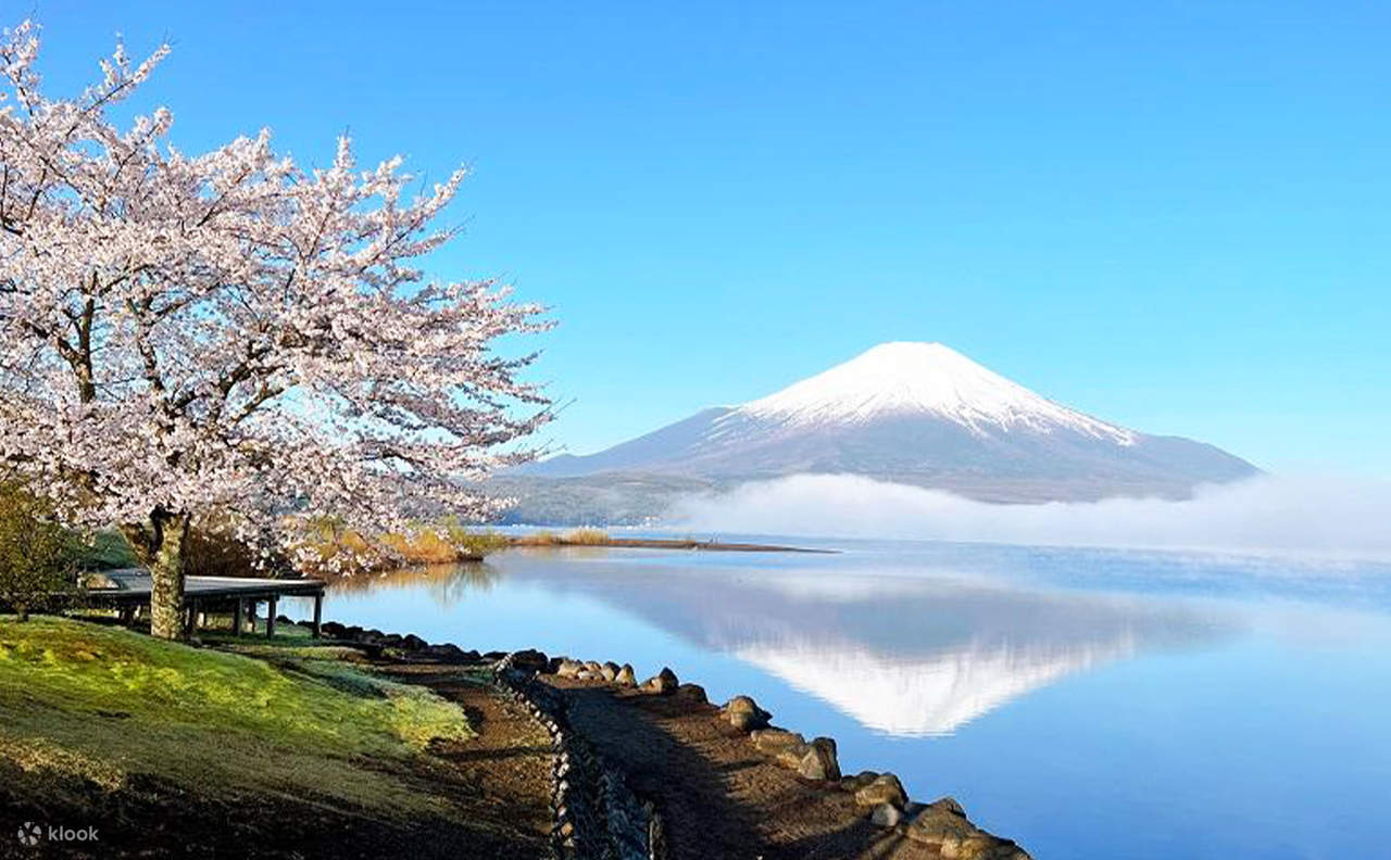 Mt. Fuji Yamanaka Lake Cycling/Cruise·Oshino Hakkai·Kawaguchiko Oishi ...