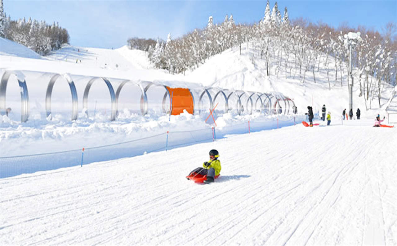 Mount Fuji 2nd Stage YETI Skiing & Hot Spring Resort Day Trip - Klook ...
