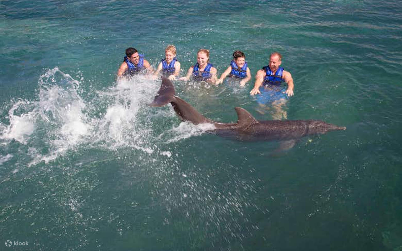 Swim with Dolphins Experience In Delphinus Xcaret - Klook Hong Kong