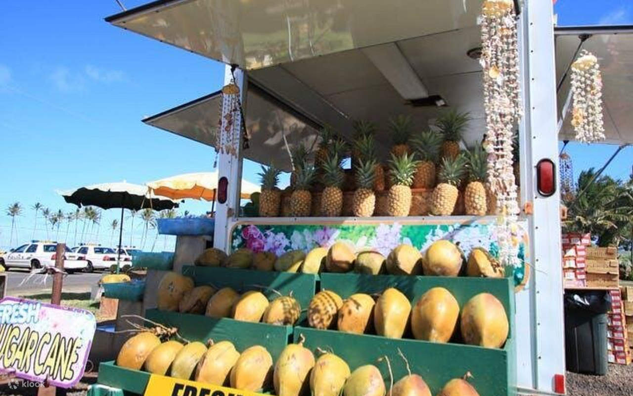 Famous Hawaii Movie Tour - Klook Singapore