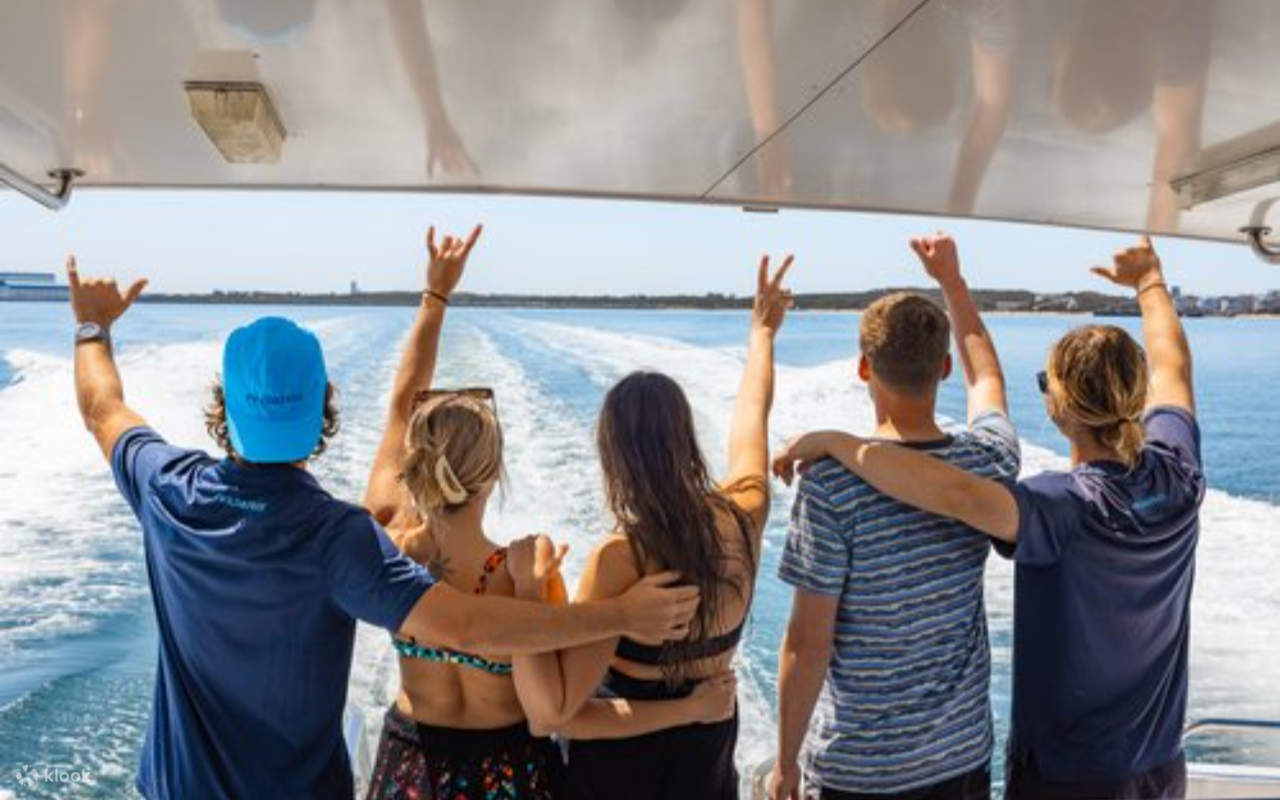 Swim with Wild Dolphins Experience in Perth - Klook Canada