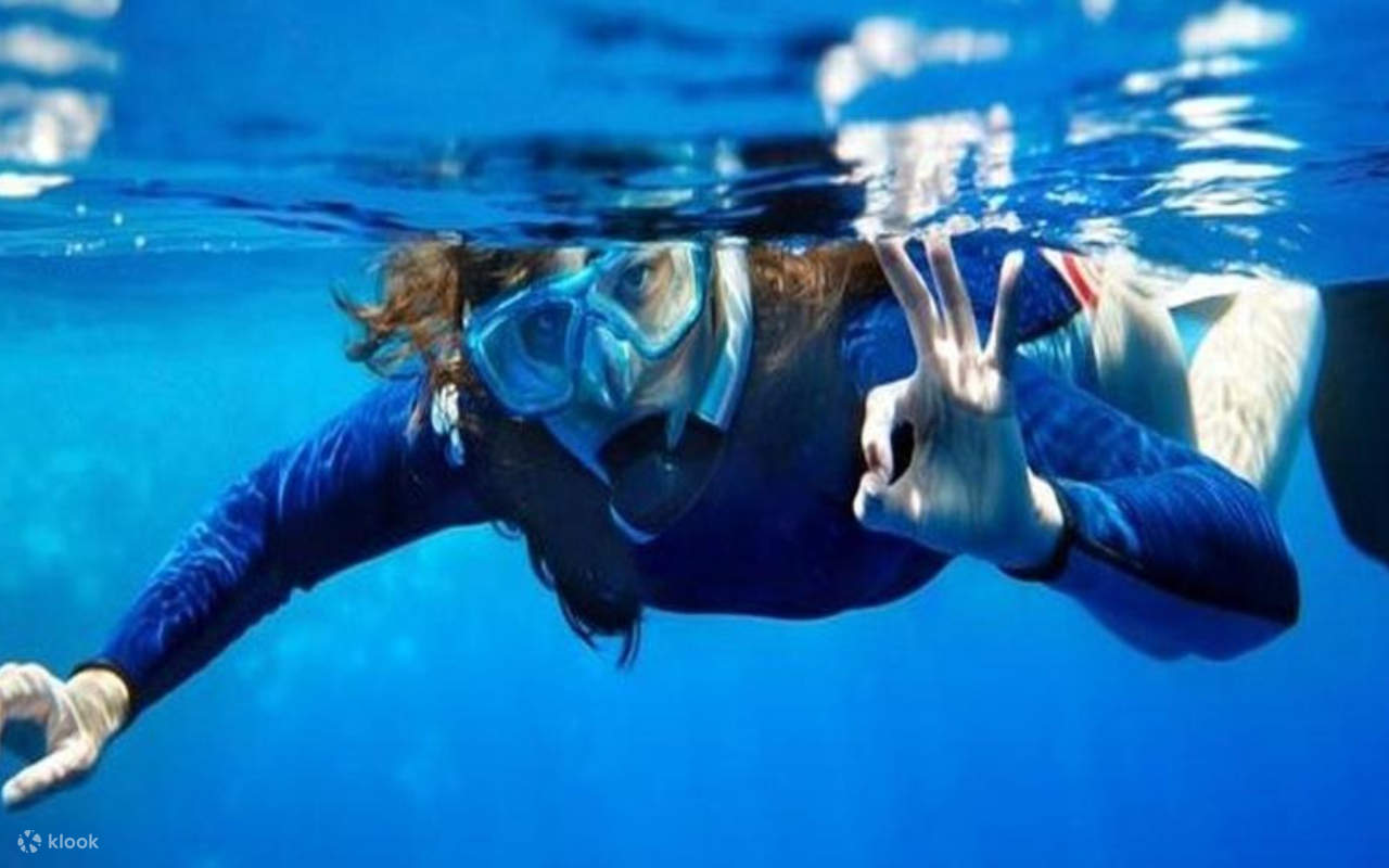 Scuba diving and snorkeling experience in Rhodes - Klook
