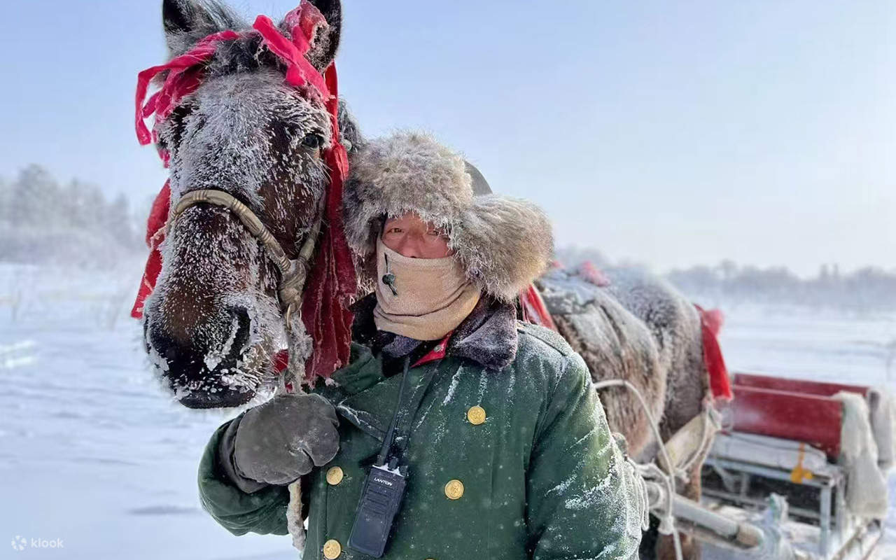 7-day Snow Viewing in Mohe North Country, Northeast China - Klook