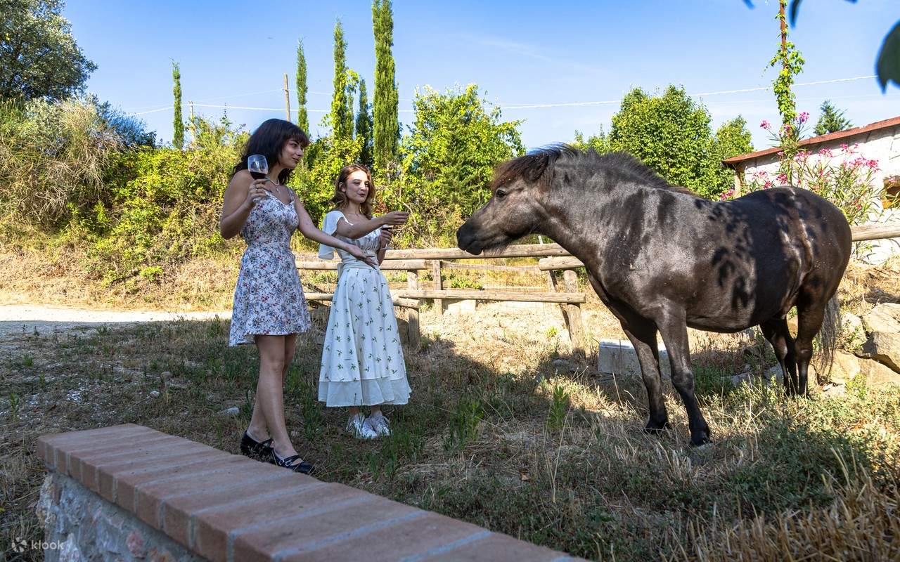 Tuscan Farm Cooking Class with Wine-Tasting from Florence - Klook ...