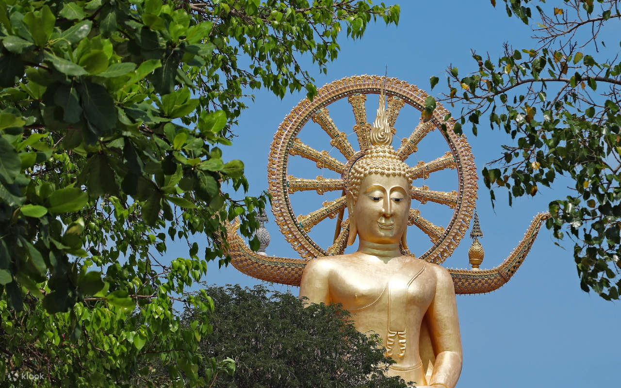 Koh Samui: Half-Day Highlights Tour with Hotel Transfers - Klook India