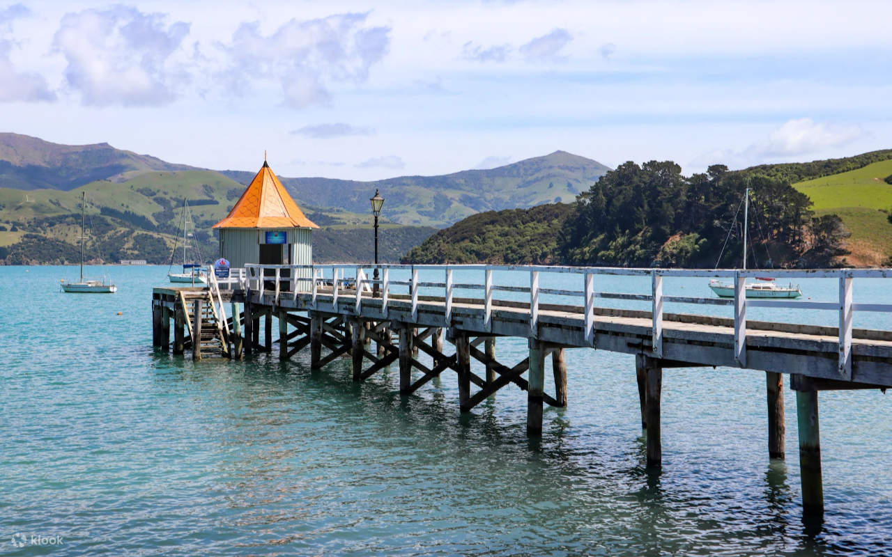 Akaroa Day Tour mula sa Christchurch - Klook Estados Unidos