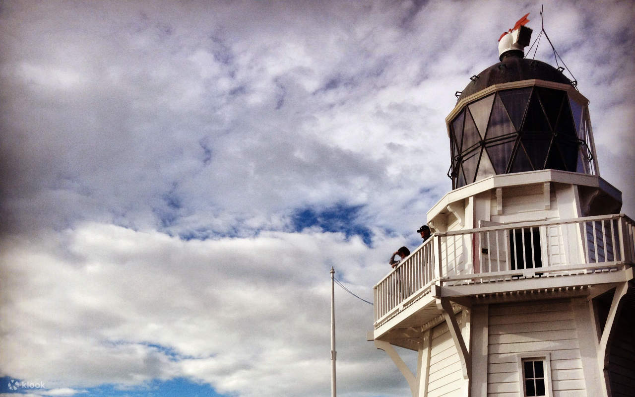 Akaroa Day Tour mula sa Christchurch - Klook Estados Unidos