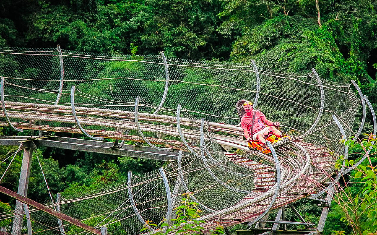 Chiang Mai: Mon Jam and Pongyang Jungle Private Day Trip - Klook