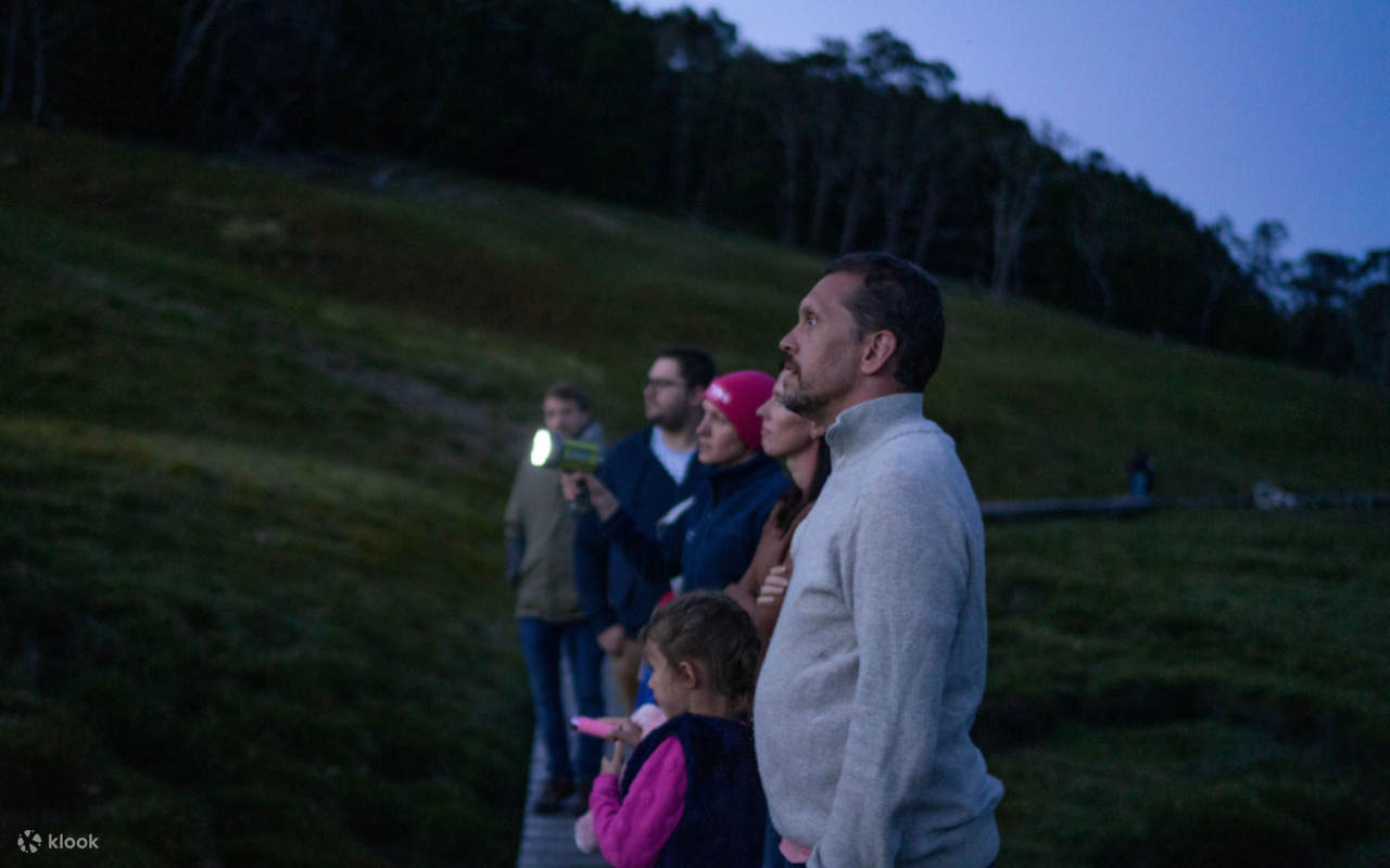 Cradle Mountain Night Spotting Tour - Klook