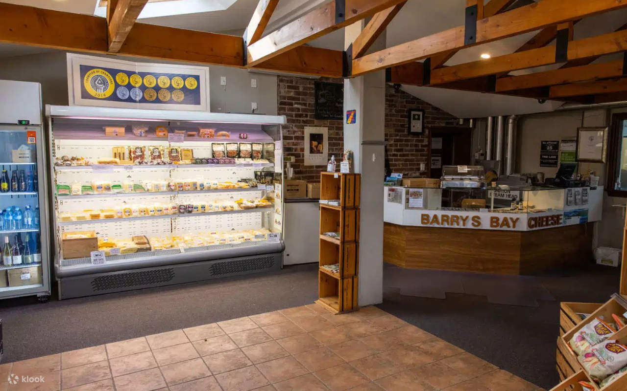 Akaroa Day Tour from Christchurch - Klook