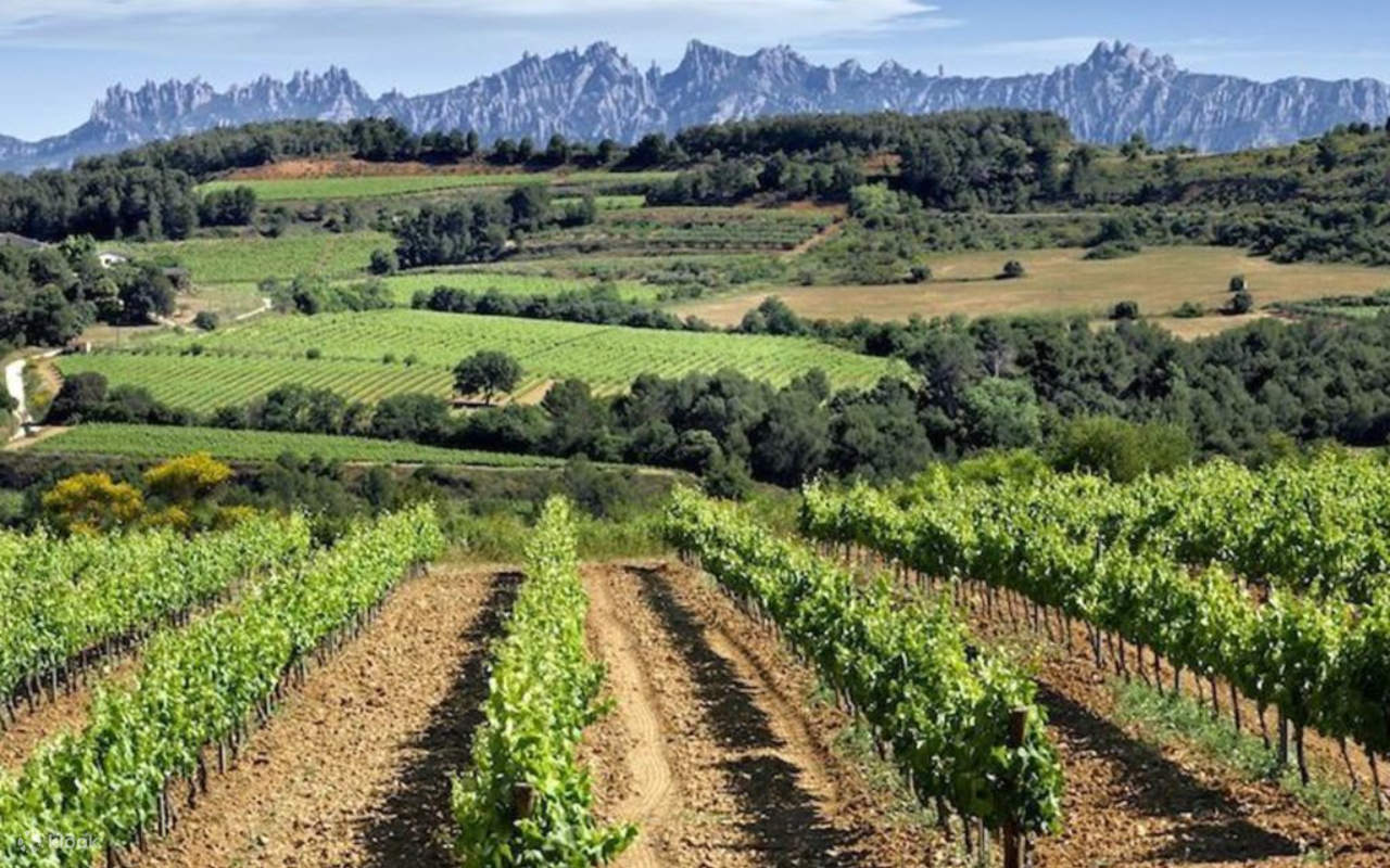 Pengalaman mengemudi supercar ke kebun anggur Penedes - Klook Indonesia