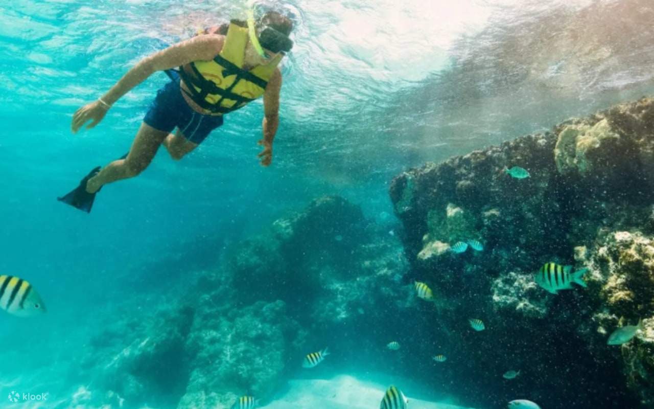 Punta Nizuc and MUSA Underwater Museum Snorkeling Experience - Klook ...