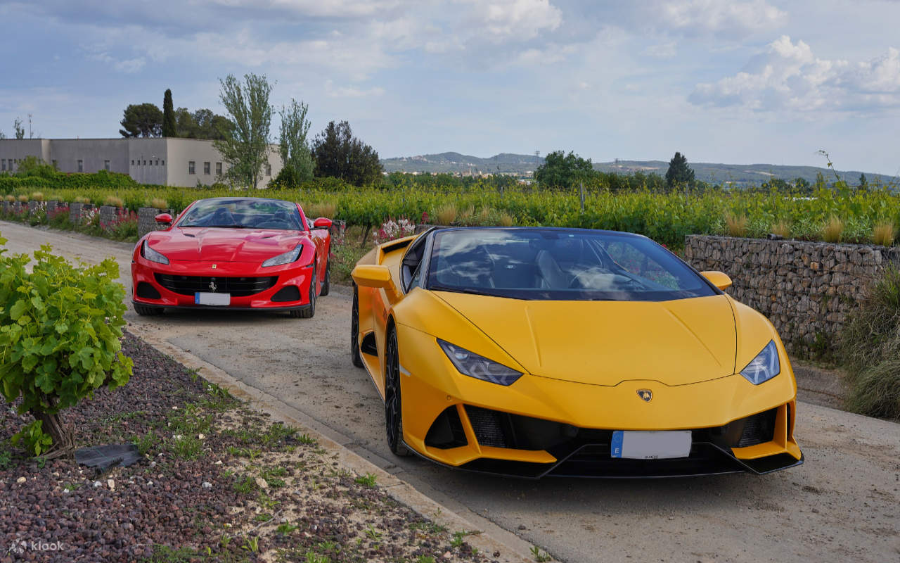 Pengalaman mengemudi supercar ke kebun anggur Penedes - Klook Indonesia