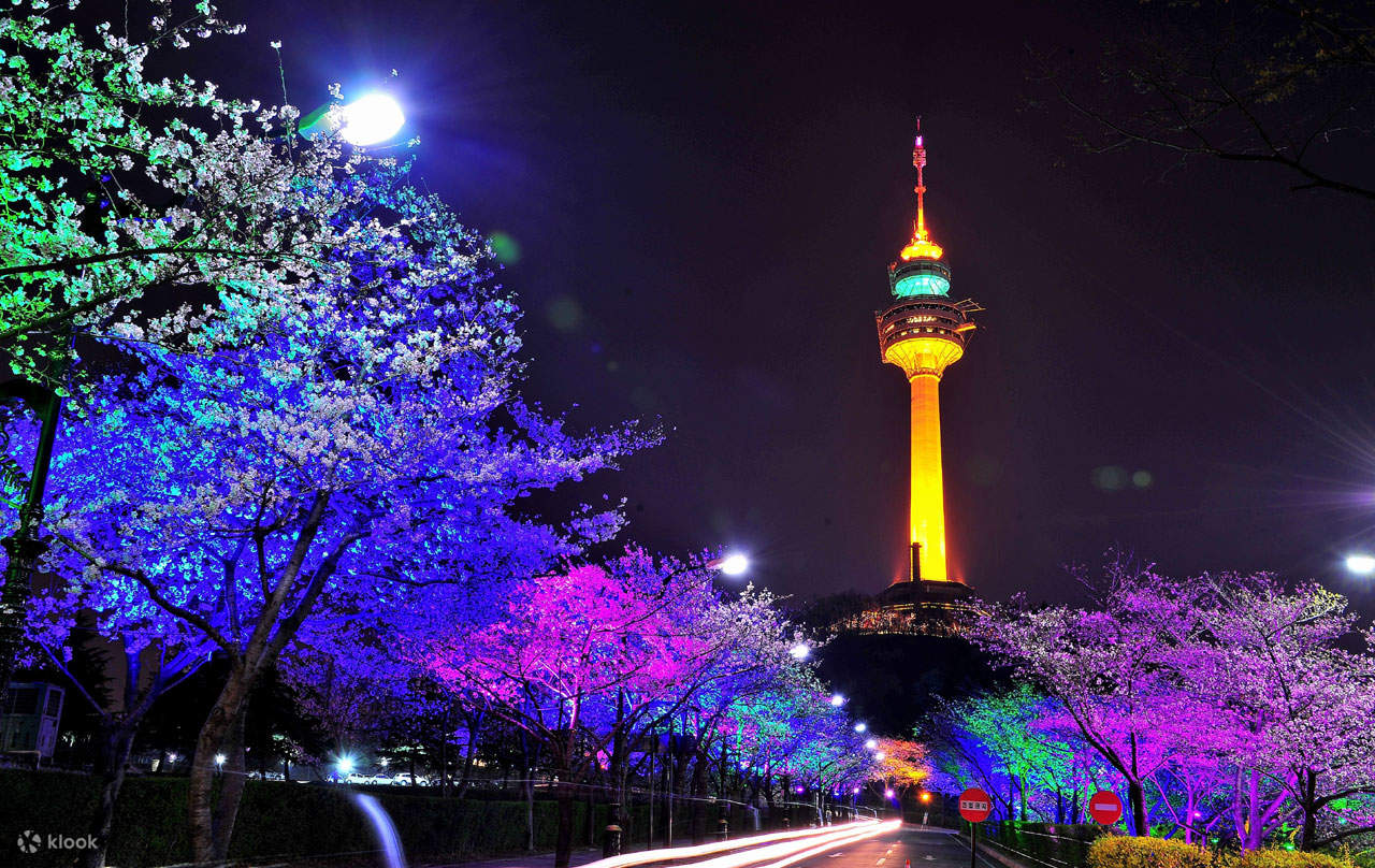 Daegu Chartered Car Private Taxi Tour from Daegu - Klook Hong Kong