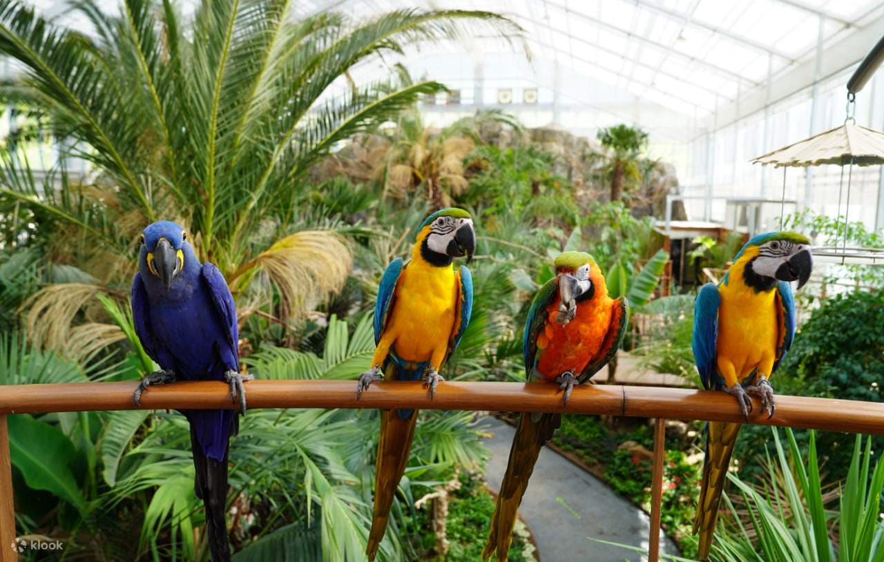 Snowy Land One-Day Tour | Snow Fun for Families & Friends - Klook Singapore