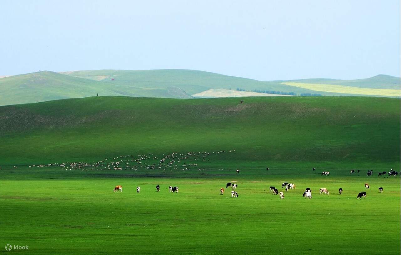 6-Day Tour of Hulun Secret Land in Hulunbuir, Inner Mongolia (Morigele ...
