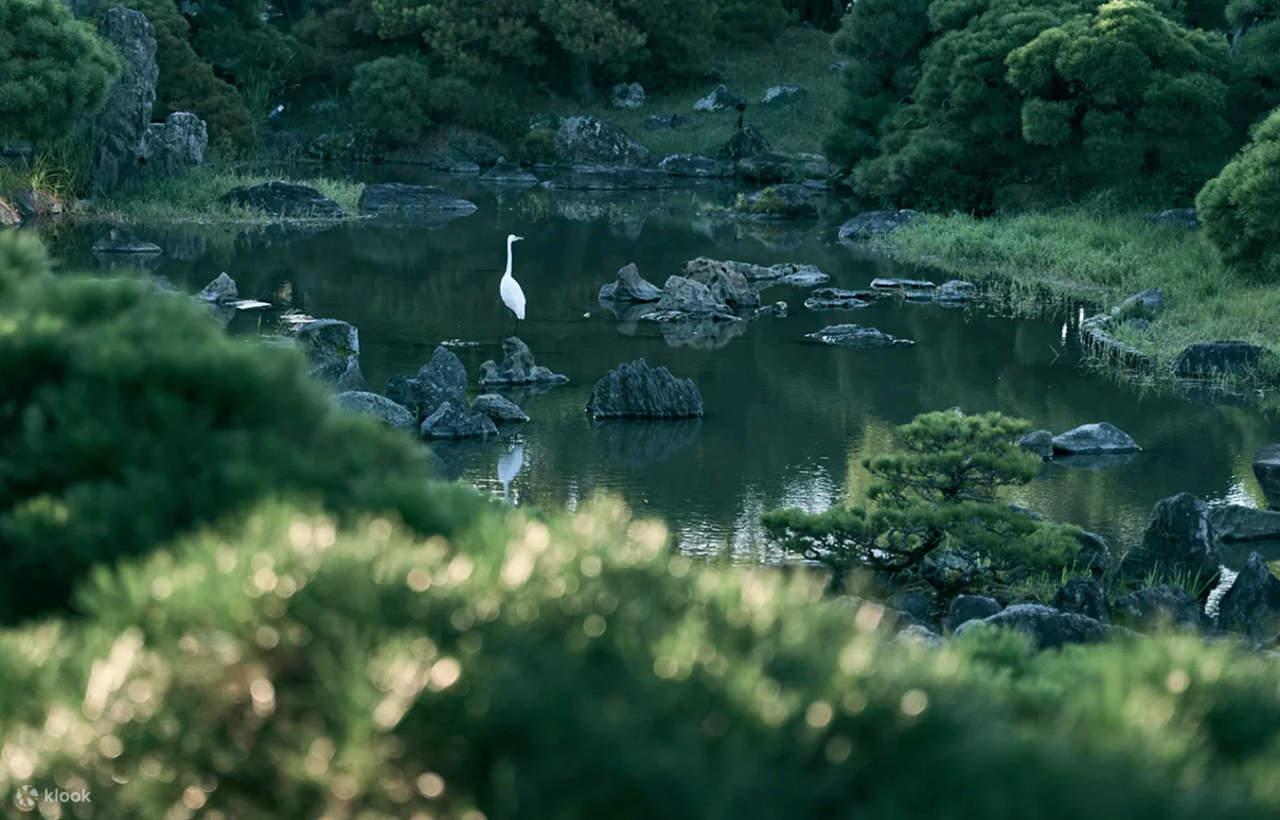 Strawberry Picking/Yanagawa River Cruise & Takeo Shrine & Dazaifu ...