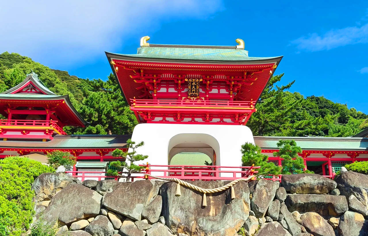 Limited-Time Flower Viewing | Northern Kyushu | A Day Trip from Fukuoka ...