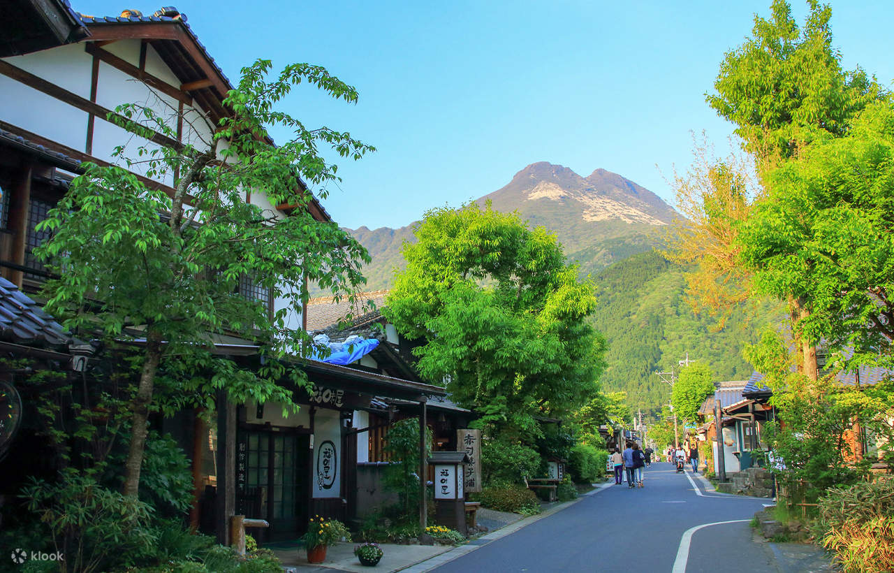 Yufuin, Kyushu Natural Animal Park, Sea Hell, and Hearth Hell Day Tour ...