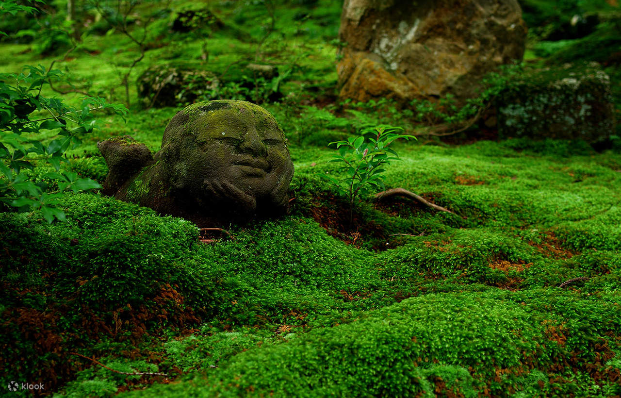 Kyoto Sanzen-in Temple & Arashiyama Train & Sagano Bamboo Forest Trail ...