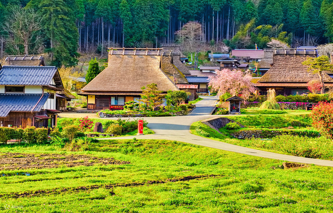 Lawatan sehari ke Amanohashidate, Ine Funaya dan Miyama Gassho Village ...