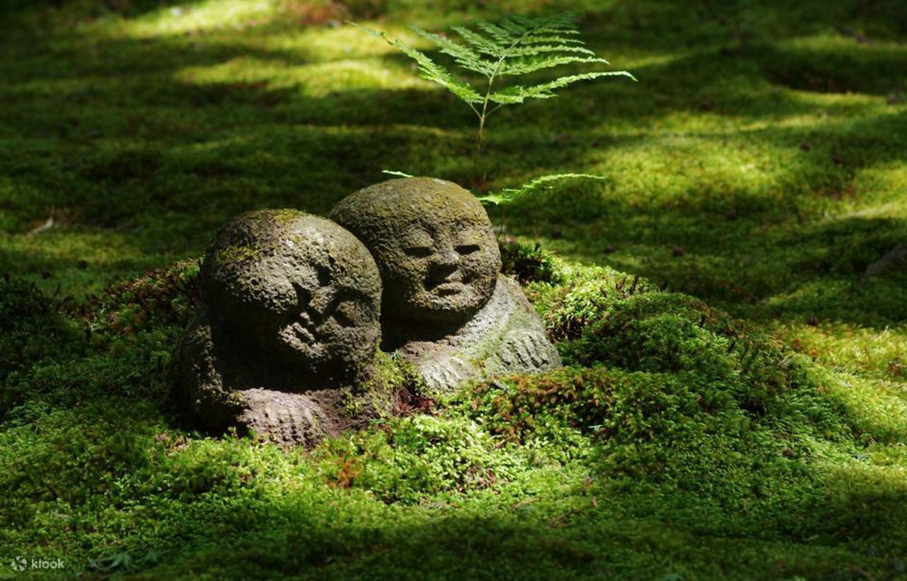 Kyoto Sanzen-in Temple & Arashiyama Train & Sagano Bamboo Forest Trail ...