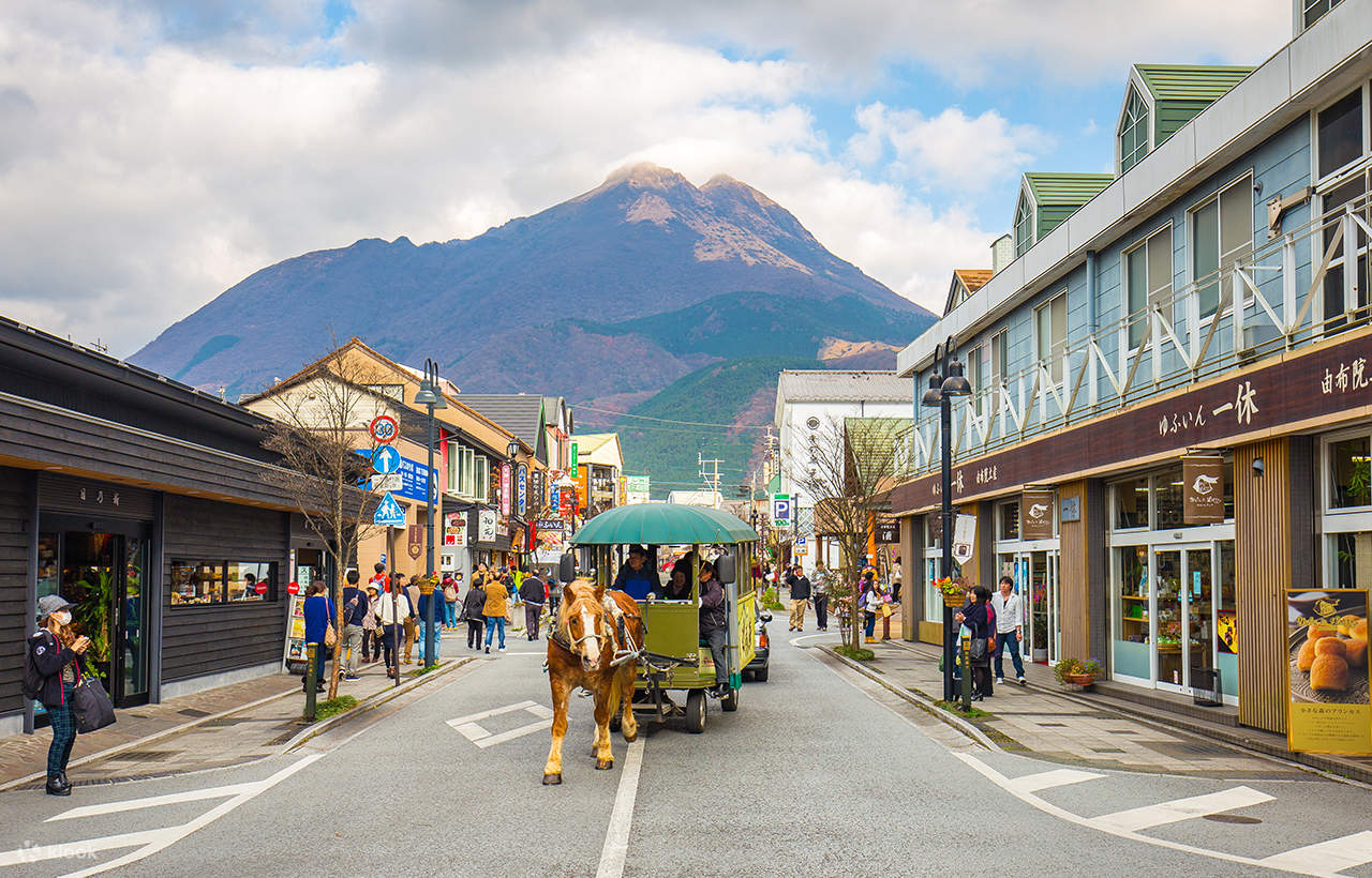 Yufuin, Kyushu Natural Animal Park, Sea Hell, and Hearth Hell Day Tour ...