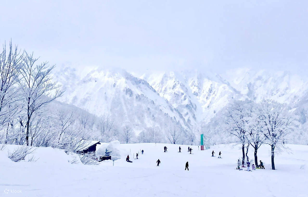 Hakuba Goryu Ski Resort All-Day Skiing & Northern Alps Powder Snow ...