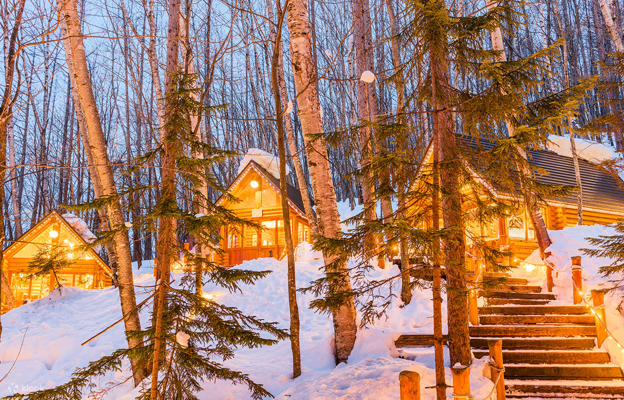 Asahiyama Zoo & Blue Pond & Shirahige Falls & Ningle Terrace Day Tour ...