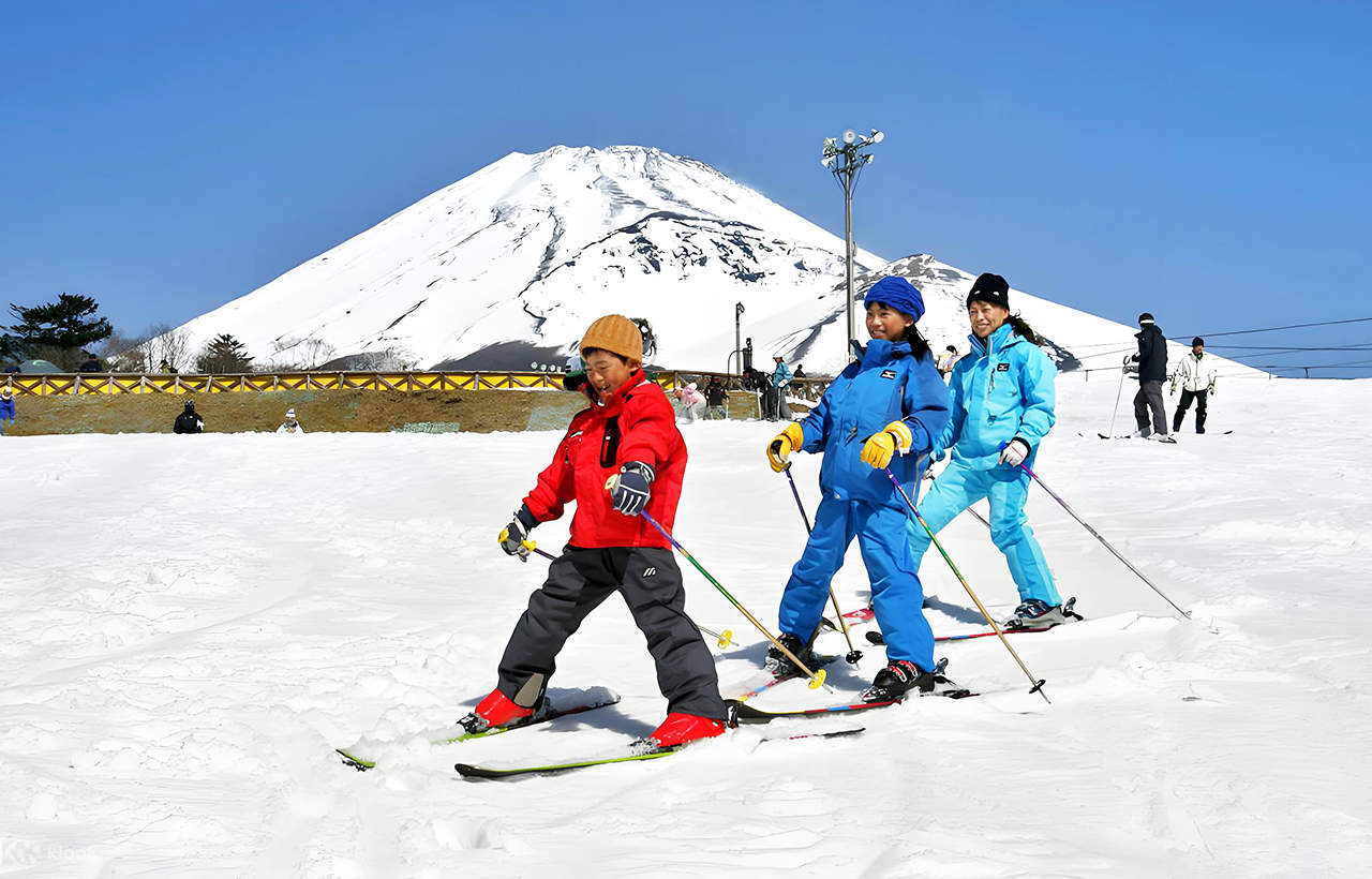 Mt. Fuji Yeti Snow Resort Skiing/Snow Fun & Izu Fruit Park Strawberry ...