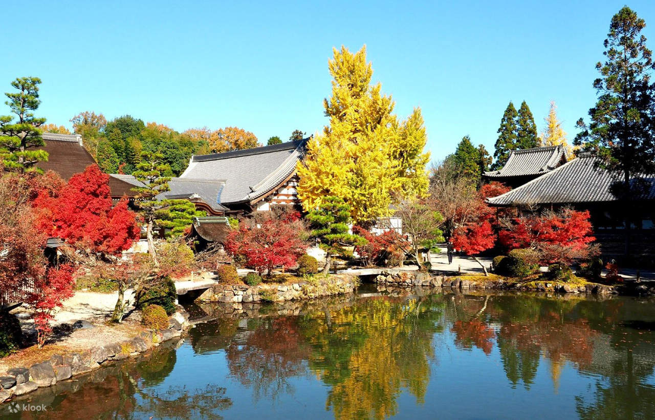 Hieizan Enryakuji Temple & Omihachiman & Kyorinbo Temple Night Maple ...