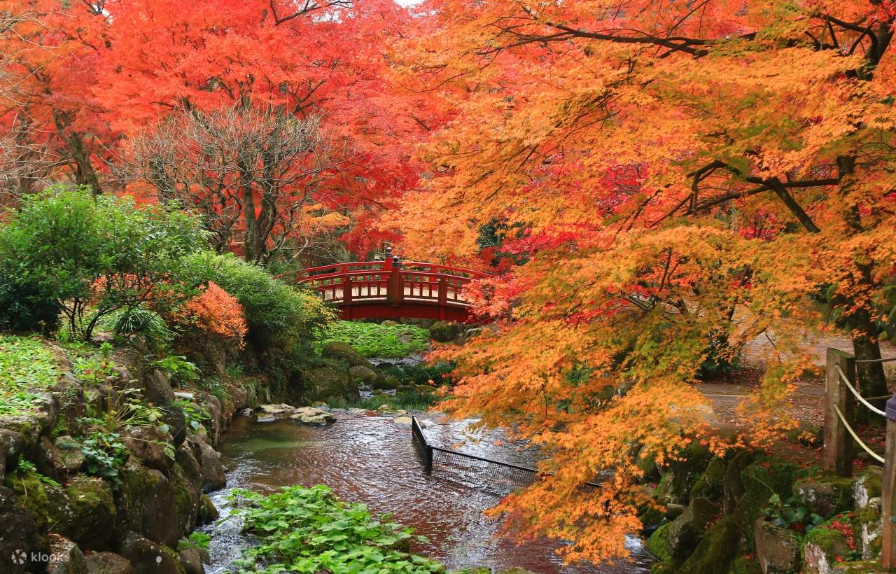 Atami & Izu: Kinomiya Shrine/Atami Baien Plum Garden & Izu Shuzenji ...