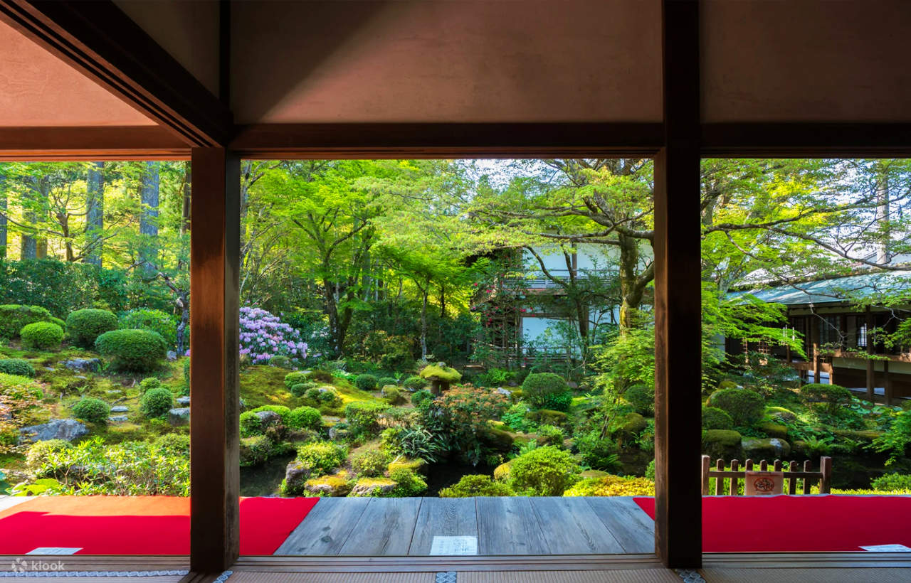 Kyoto Sanzen-in Temple & Arashiyama Train & Sagano Bamboo Forest Trail ...