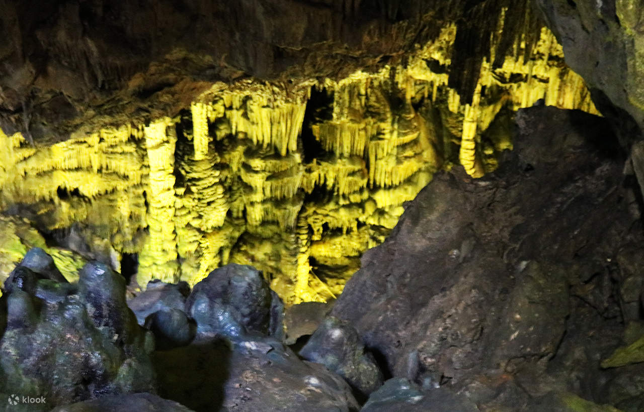 Kitakyushu: Akiyoshido Cave & Motonosumi Inari Shrine & Tsunoshima ...