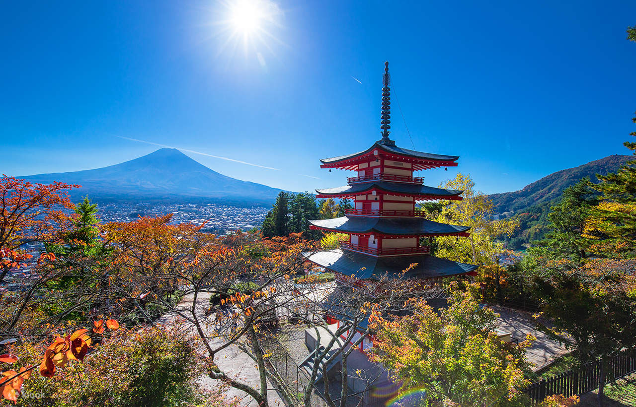 Mount Fuji FUMOTOPPARA Camping Experience 2-Day Tour｜Depart from Tokyo ...