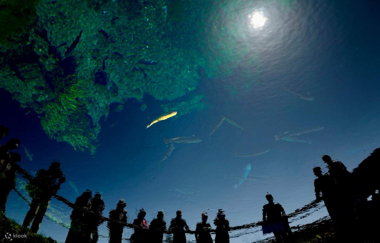 One-Day Tour of Fuji Safari Park, Oshino Hakkai, and Oishi Park - Klook ...