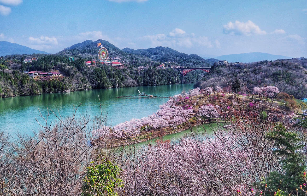 Magome-juku, Ena Gorge Observatory, and Inuyama Castle Day Trip (From ...