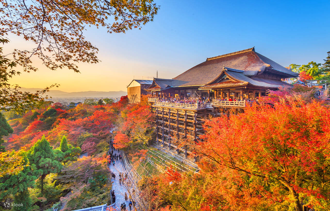 Kiyomizu-dera, Fushimi Inari Shrine, & Nara Park One Day Tour - Klook