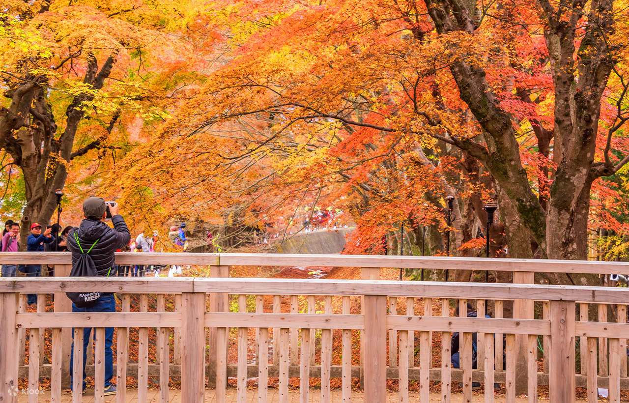 Mt. Fuji Arakurayama Sengen Park | Hikawa Clock Shop | Oshino Ninja ...