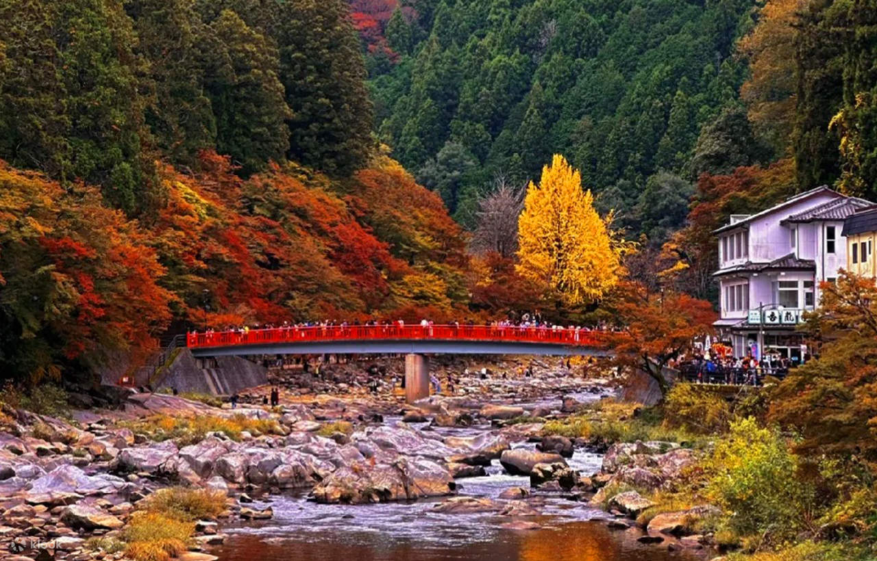 Musim Daun Musim Gugur Gifu: Lawatan sehari ke Kuil Gunung Eihoji dan ...
