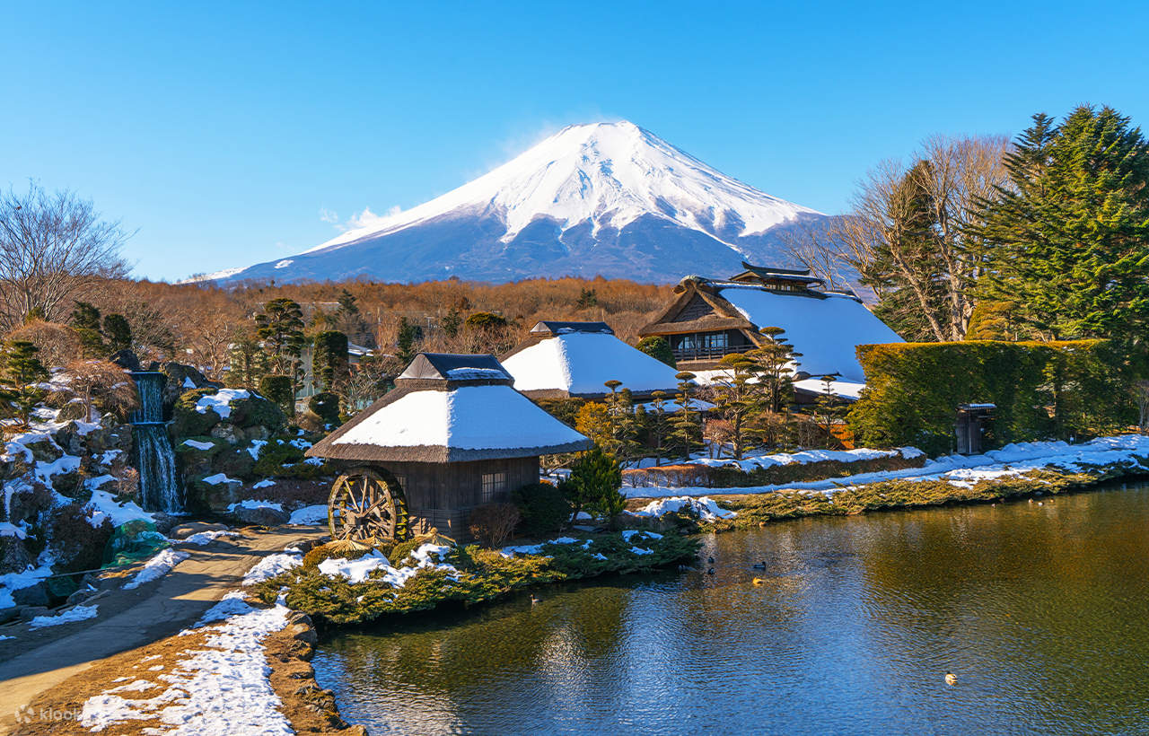 Mt. Fuji Yeti Snow Resort Snow Play/Skiing & Oshino Hakkai & Oishi Park ...