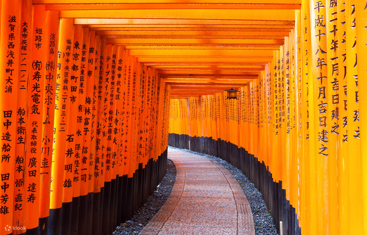 Excursión de un día a Kiyomizu-dera, el santuario Fushimi Inari y el ...
