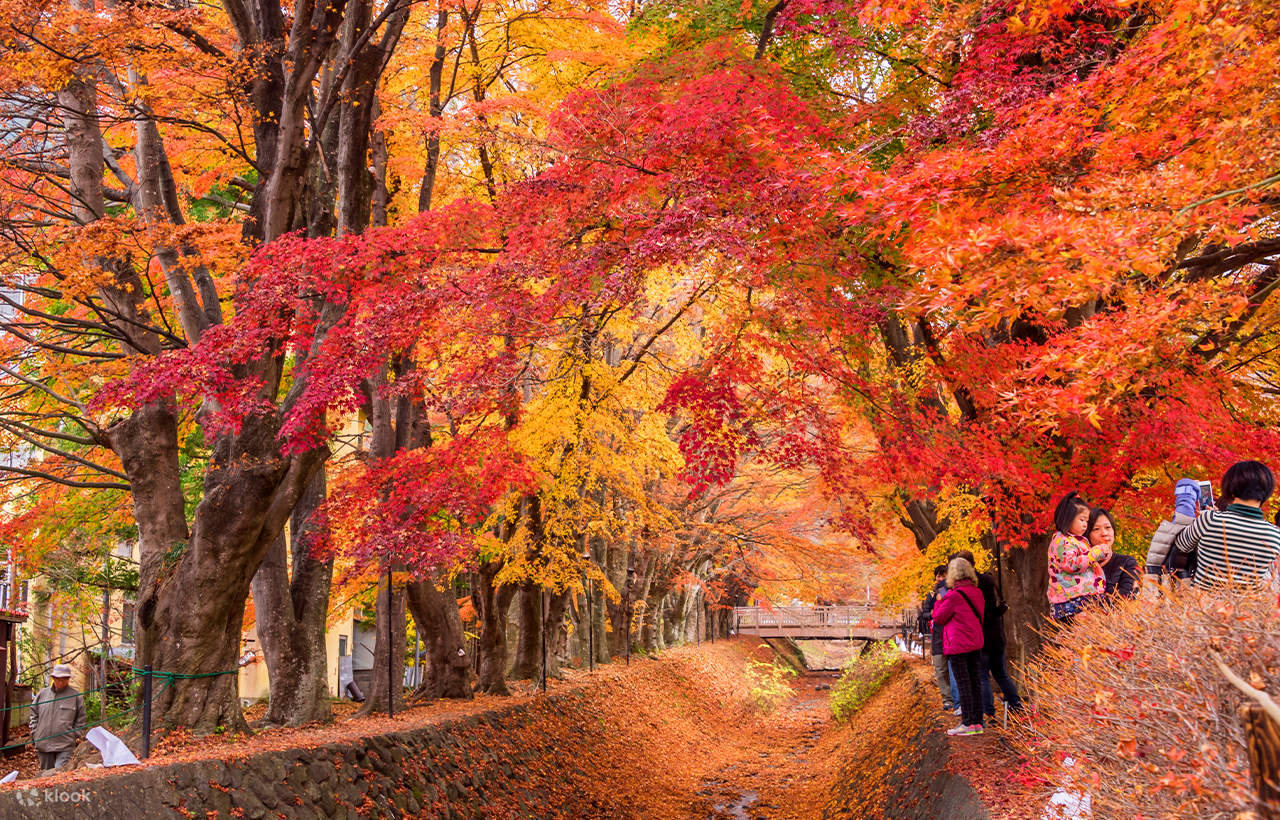 Mt. Fuji Yamanaka Lake Cycling/Cruise·Oshino Hakkai·Kawaguchiko Oishi ...