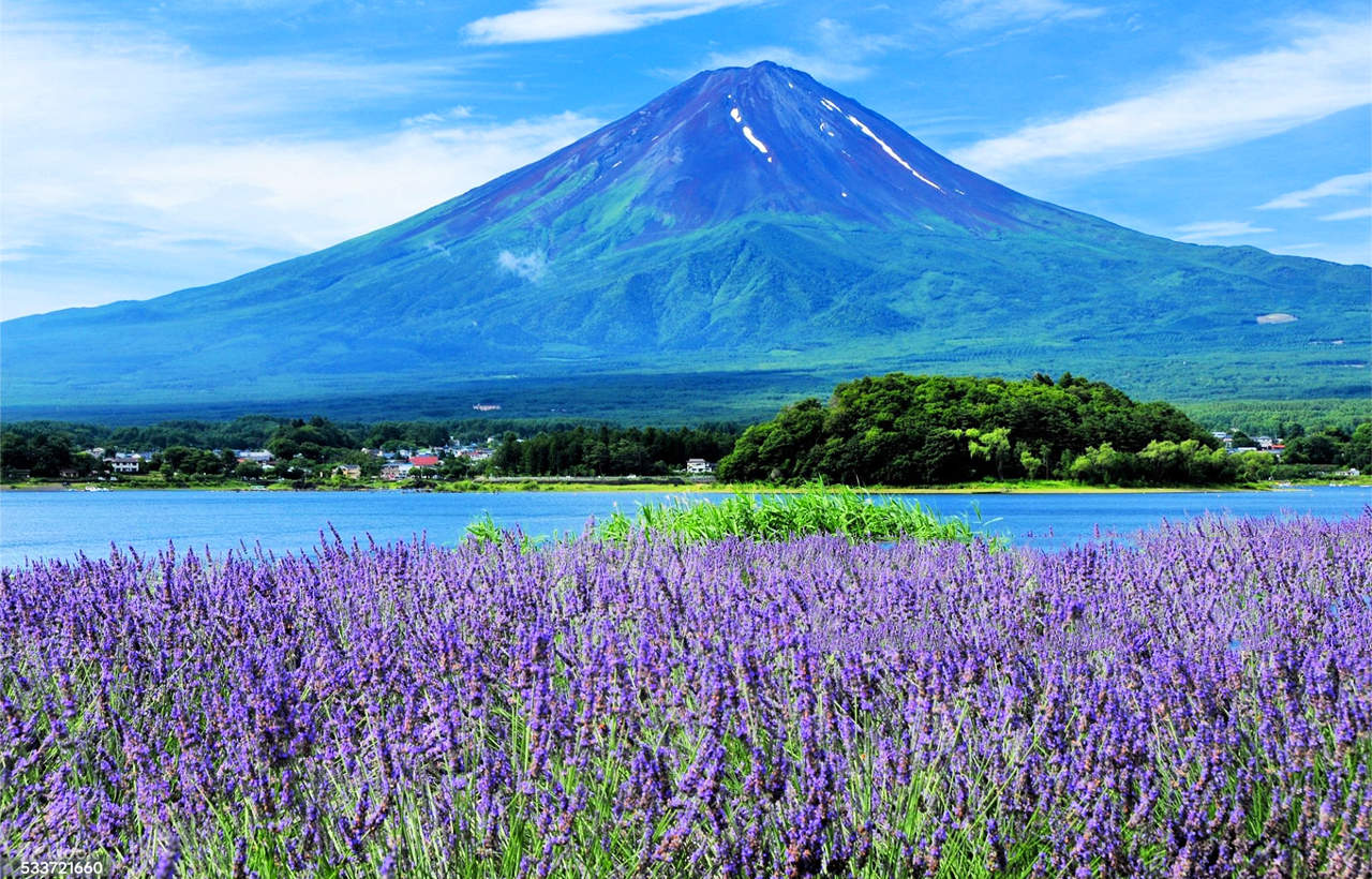 One-day trip to Mount Fuji internet celebrity attraction | Departing ...