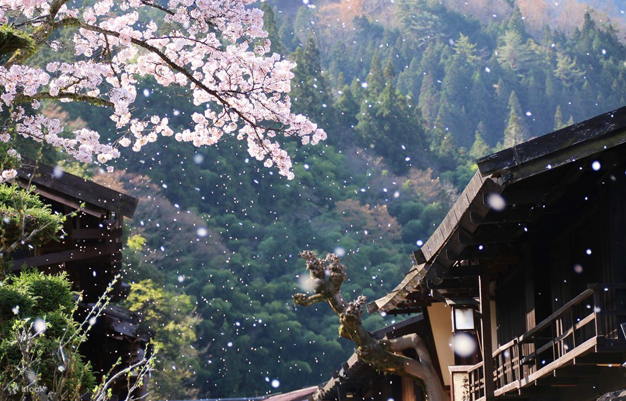 Tour một ngày tham quan Magome-juku & Đài quan sát Hẻm núi Ena & Lâu ...