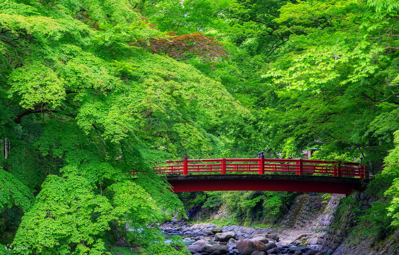 Atami & Izu: Kinomiya Shrine/Atami Baien Plum Garden & Izu Shuzenji ...