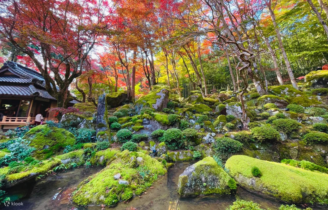 Autumn Leaves Season | Hieisan Enryakuji Temple & Kyorinbo & Hachiman ...