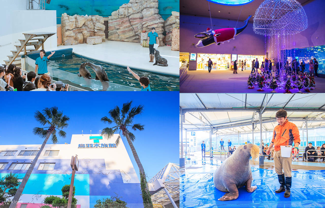 4~9 Person Small Group Tour｜Ise Grand Shrine & Mikimoto Pearl Island ...