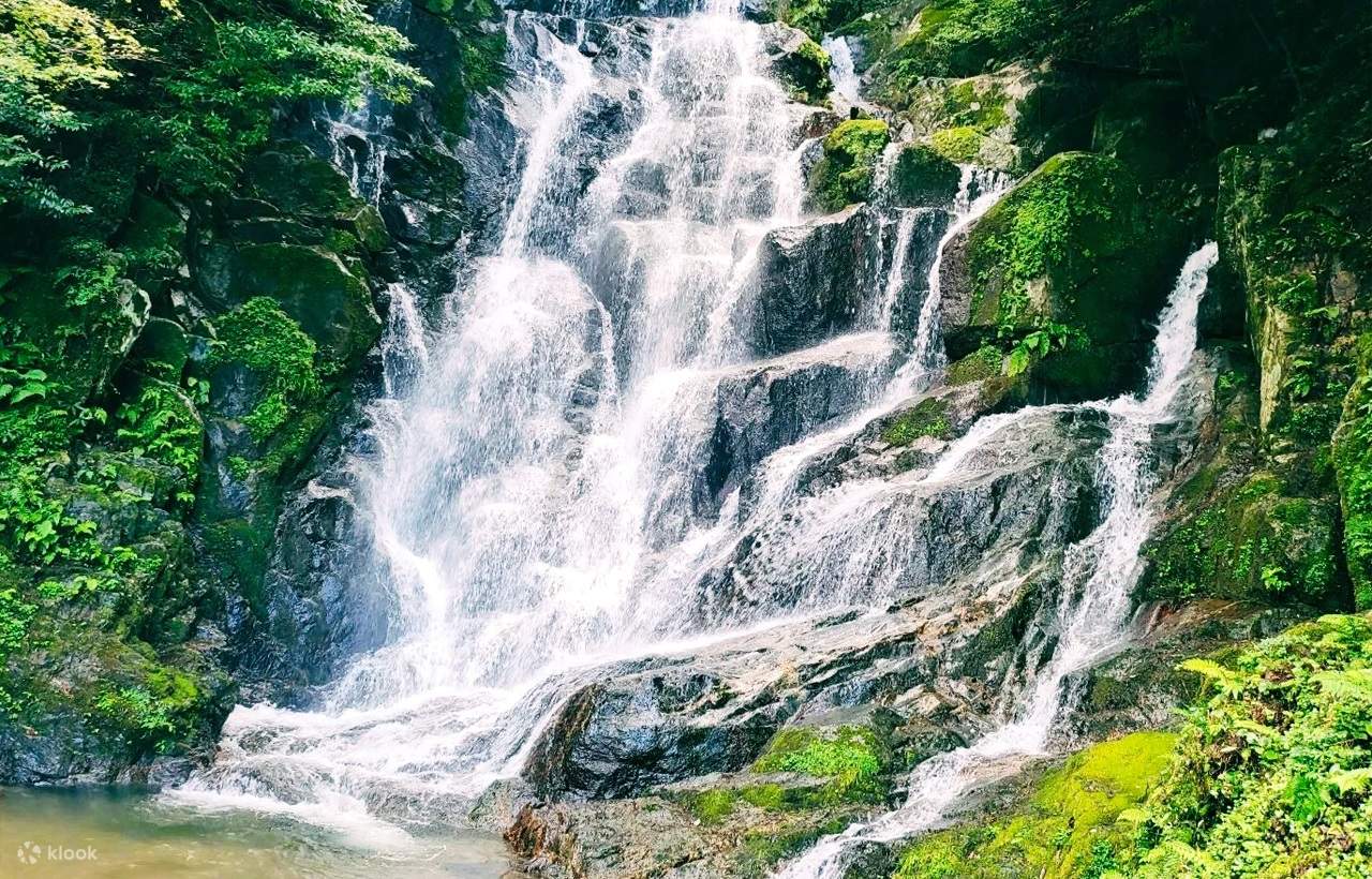 Kyushu Itoshima Secret Spots: A Day Trip to Sennyoji Totoro Forest ...