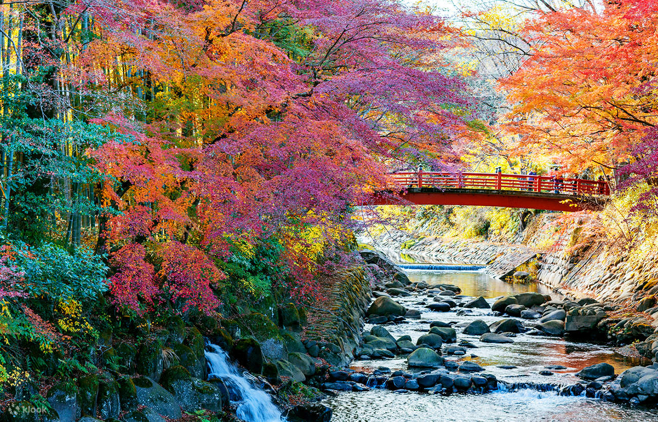 Atami & Izu: Kinomiya Shrine/Atami Baien Plum Garden & Izu Shuzenji ...